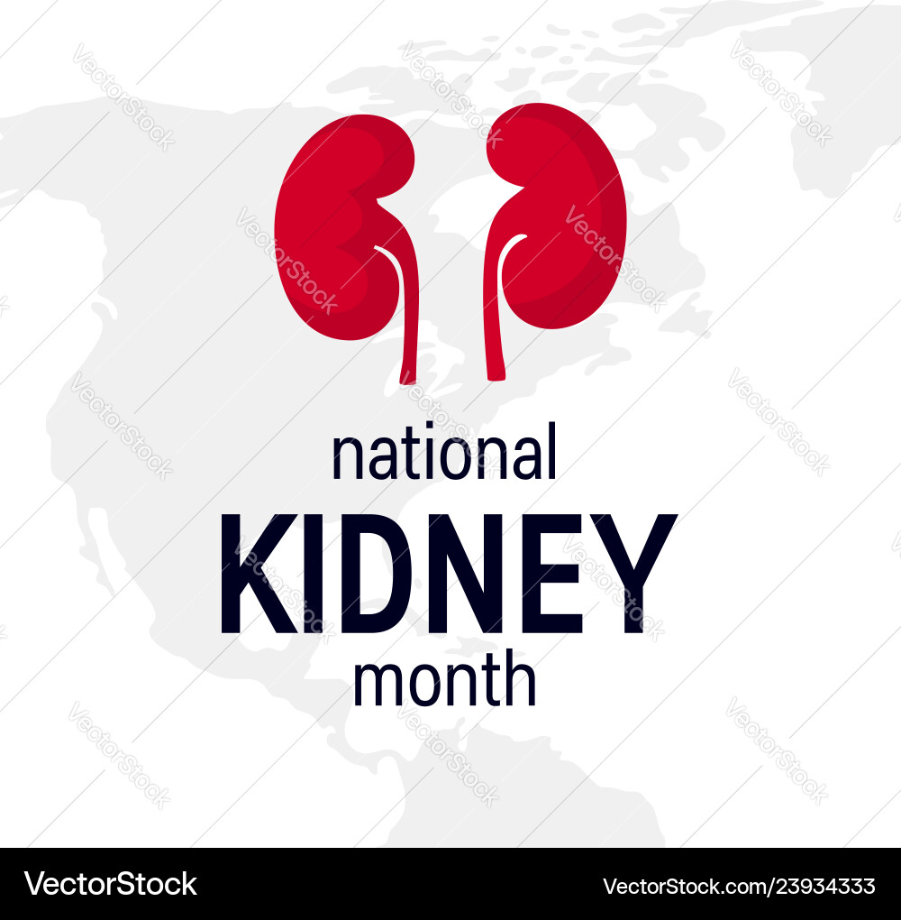 National kidney month concept in flat style Vector Image