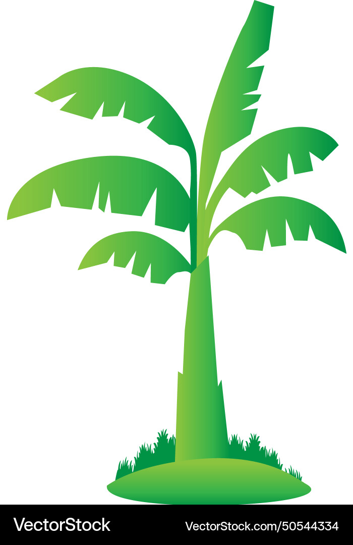 Banana tree isolated Royalty Free Vector Image