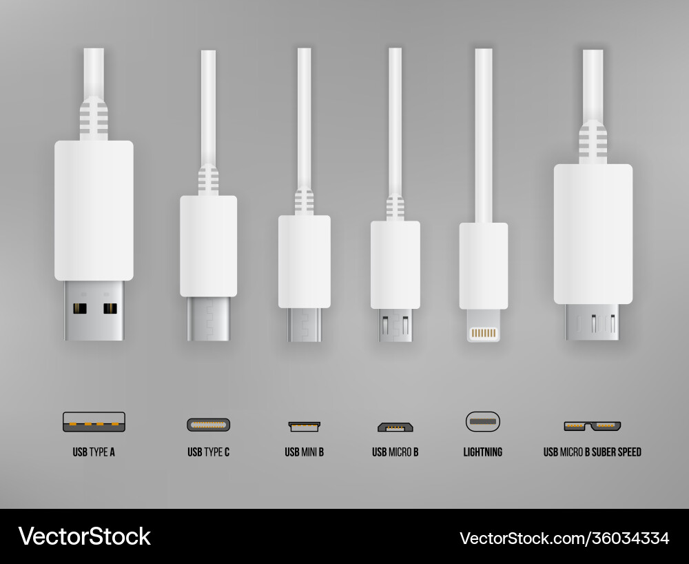 Usb all type Royalty Free Vector Image - VectorStock