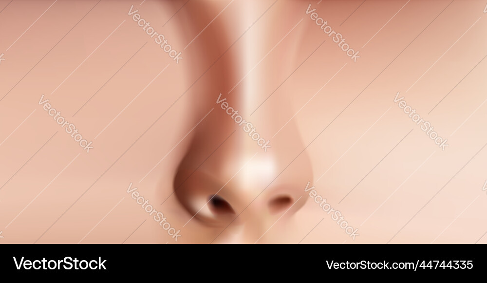 Human nose realistic front view Royalty Free Vector Image
