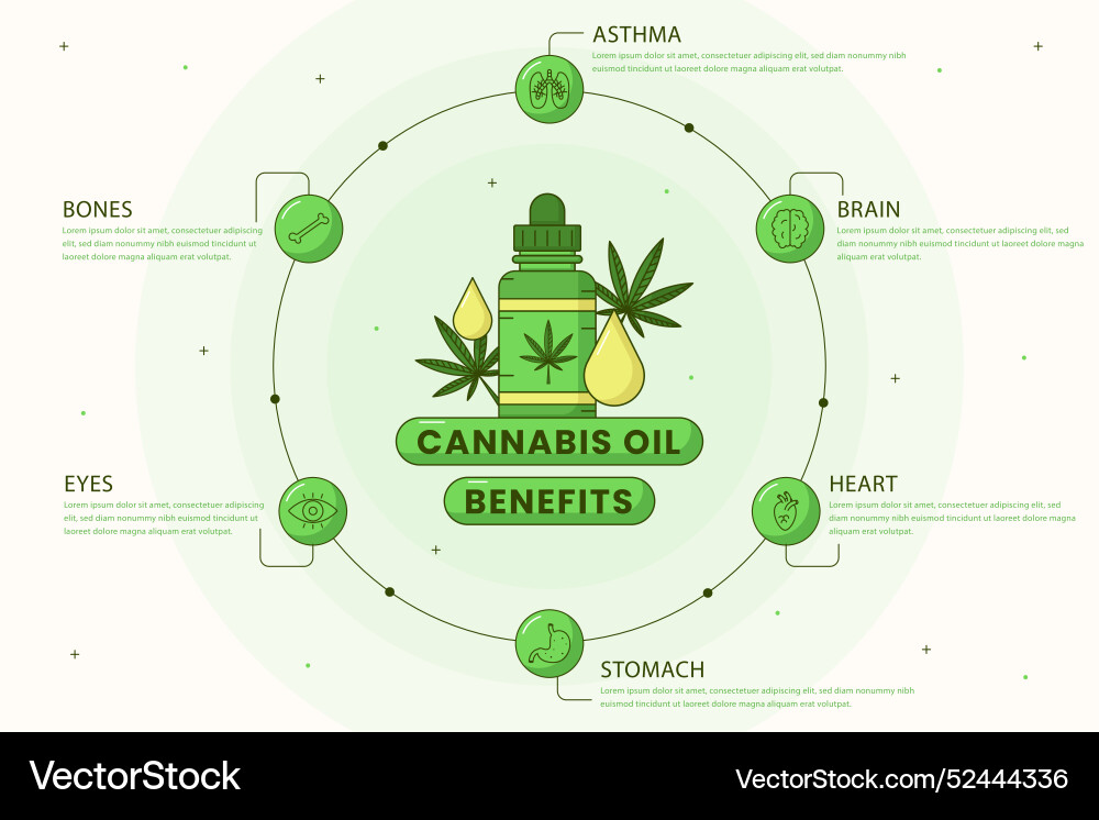 Cannabis oil benefits infographic template Vector Image