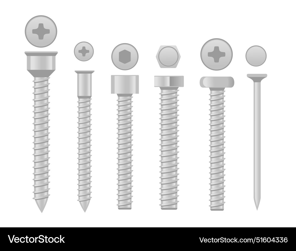 Collection of different types screw isolated Vector Image