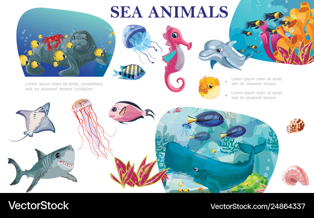 Colorful sea life concept Royalty Free Vector Image