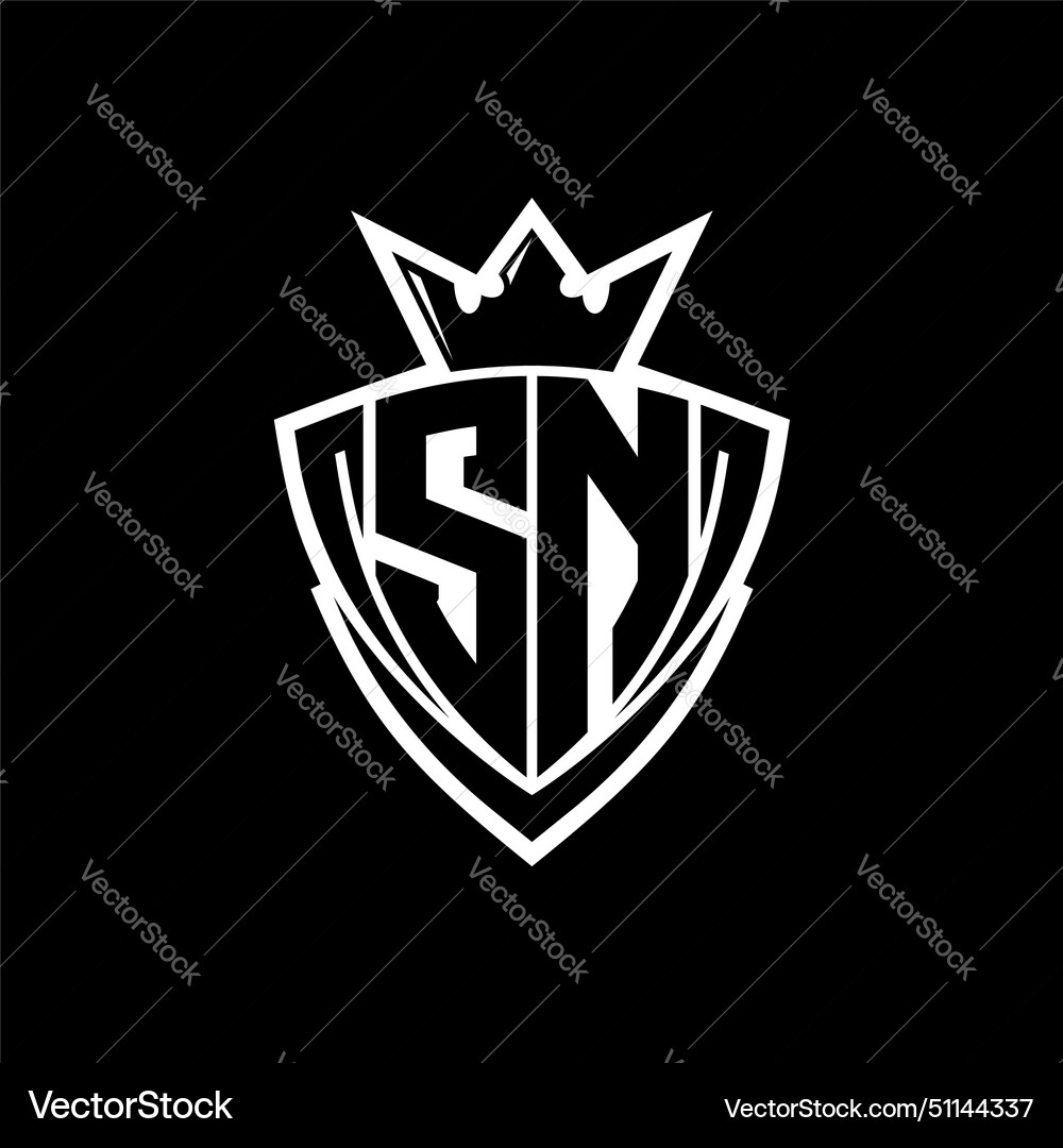 Sn letter logo with sharp triangle shield shape Vector Image