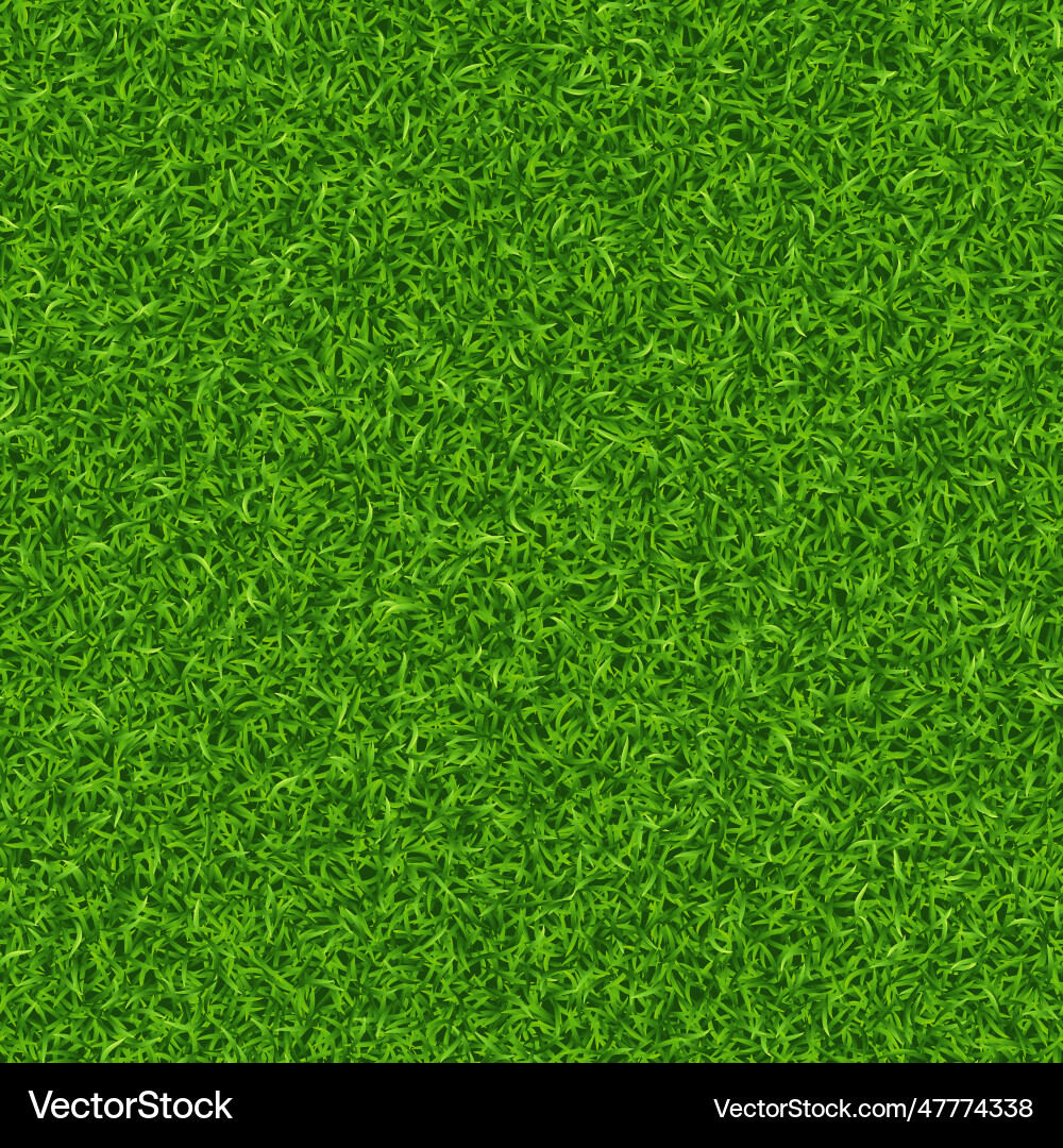 Lawn grass texture seamless pattern Royalty Free Vector