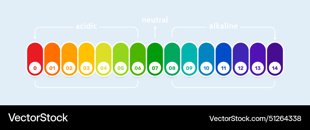 Ph scale indicator chart diagram acidic Royalty Free Vector