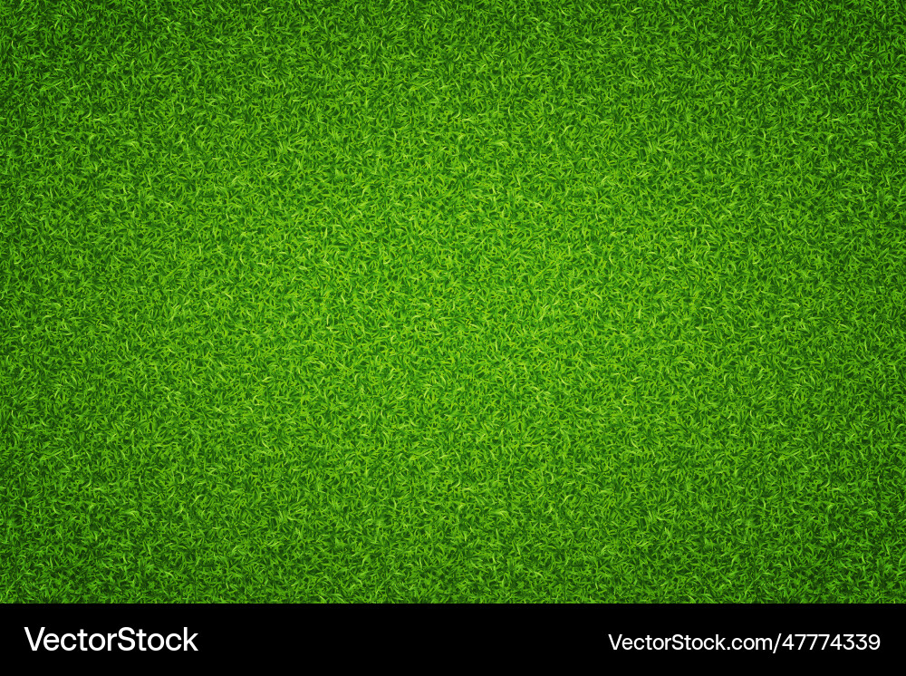 Football Lawn Vector Images (over 4,000)