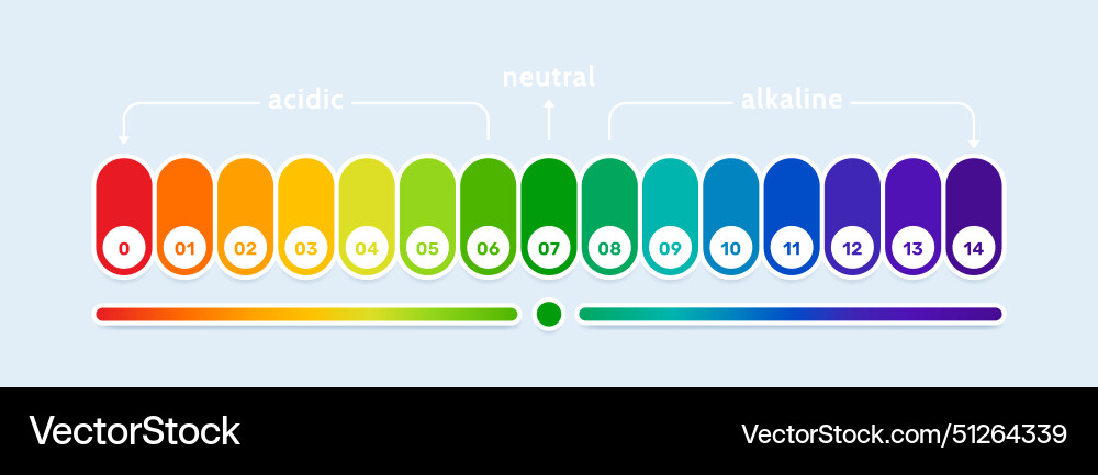 Ph scale indicator chart diagram acidic Royalty Free Vector