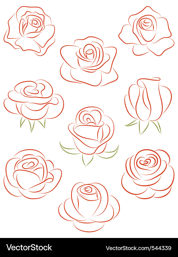 Set of roses Royalty Free Vector Image - VectorStock
