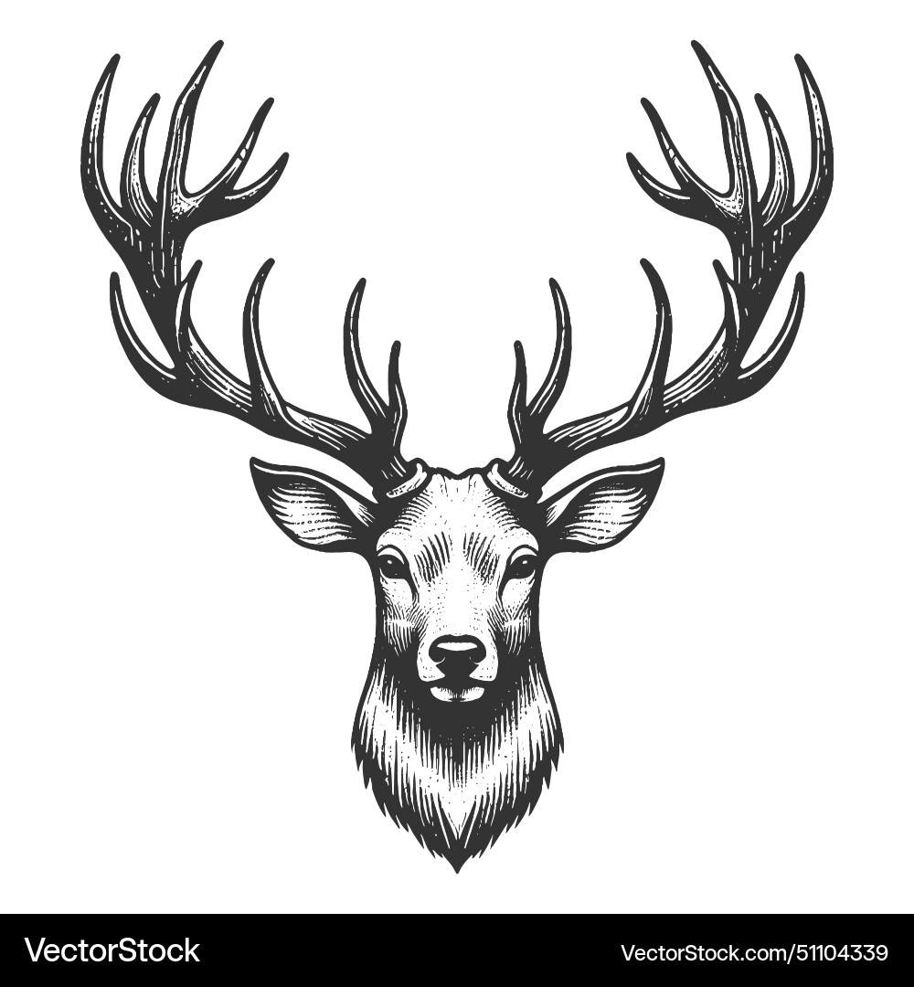 Stag with antlers and foliage engraving Royalty Free Vector