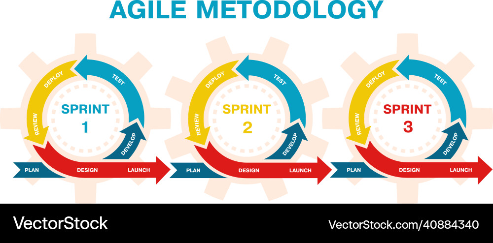 Agile project management development methodology Vector Image