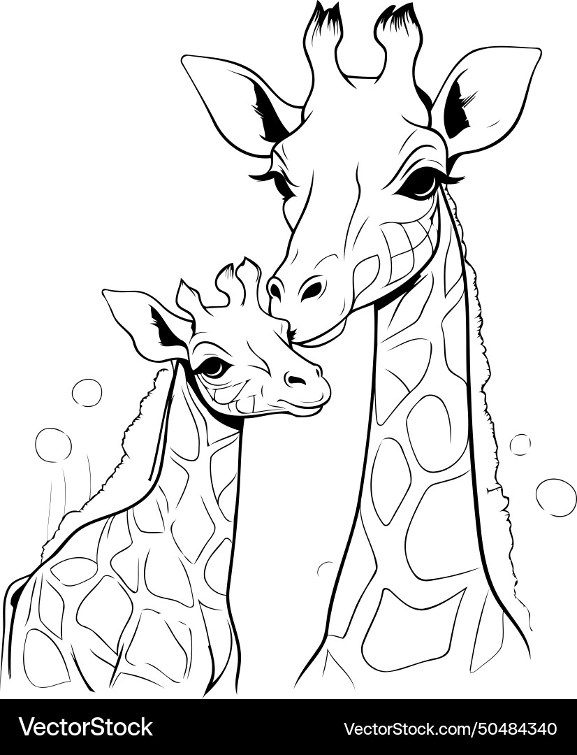 Giraffe mother and baby isolated on white Vector Image