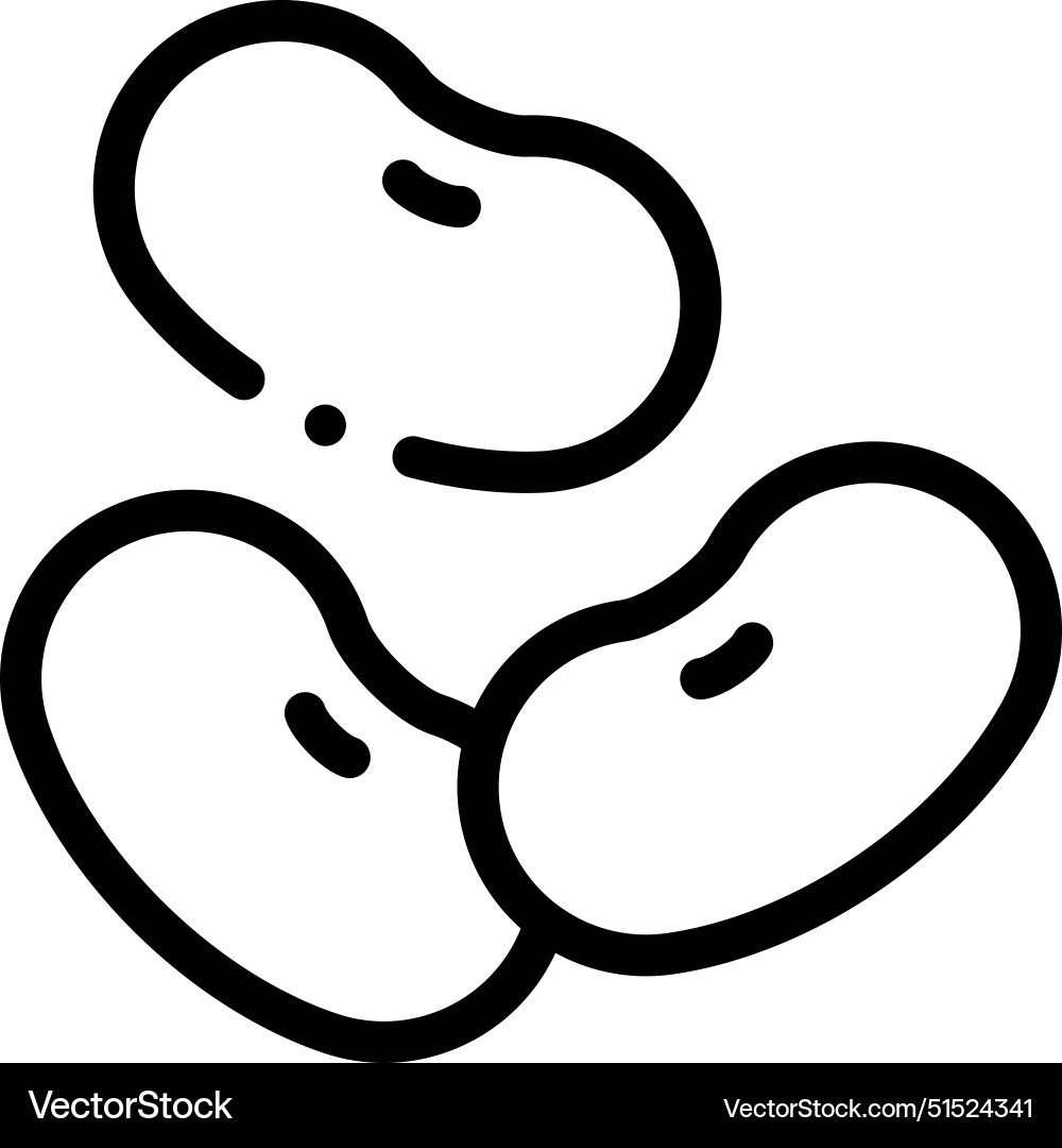 Beans icon thin linear style design isolated Vector Image