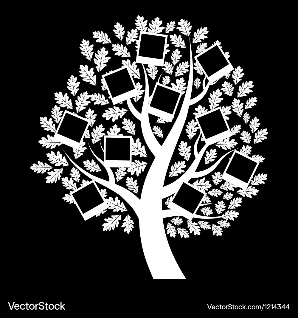 Family genealogical tree on black background Vector Image