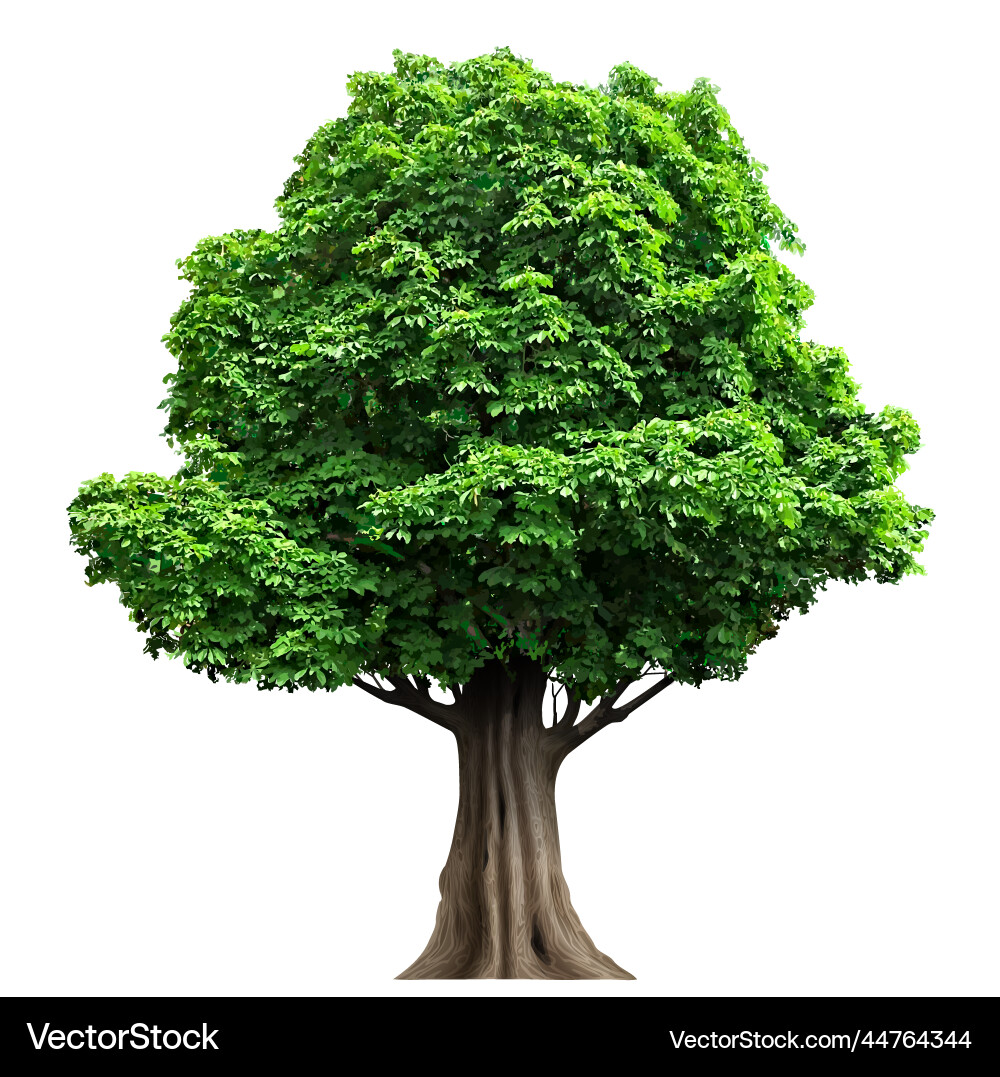 Realistic fairy old oak tree Royalty Free Vector Image