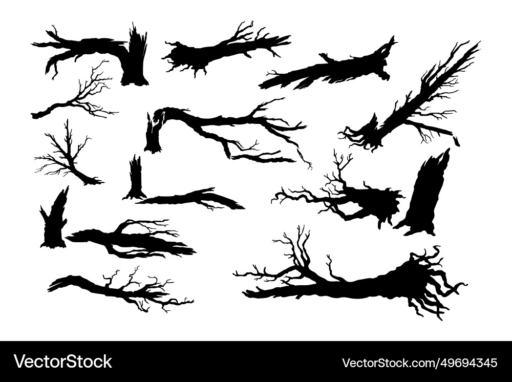 Fallen Log Vector Images (94)