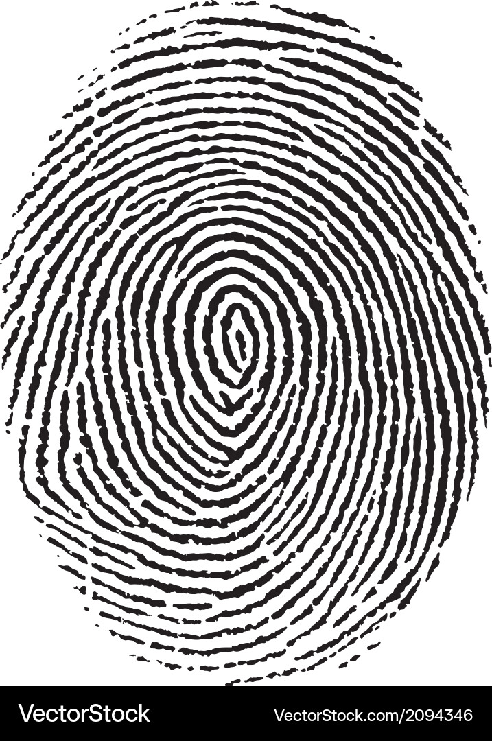 True Vector Images (over 14,000)