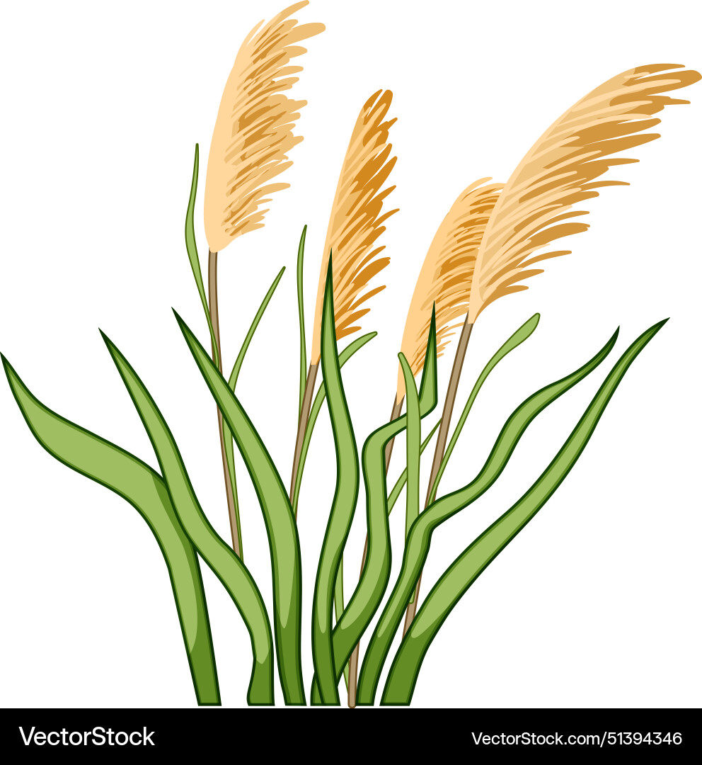 River lake plant cartoon Royalty Free Vector Image