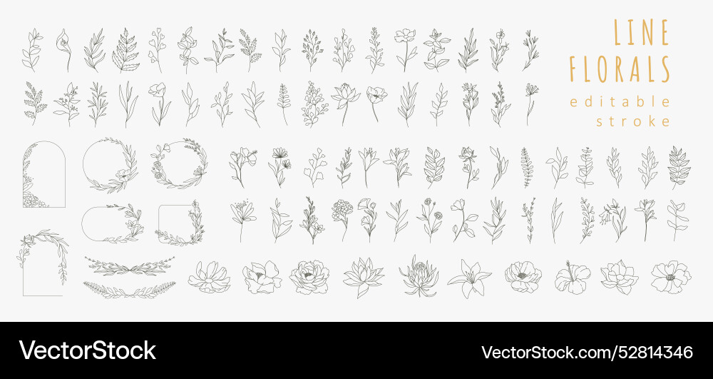 Boho Outline Floral Vector Images (over 11,000)