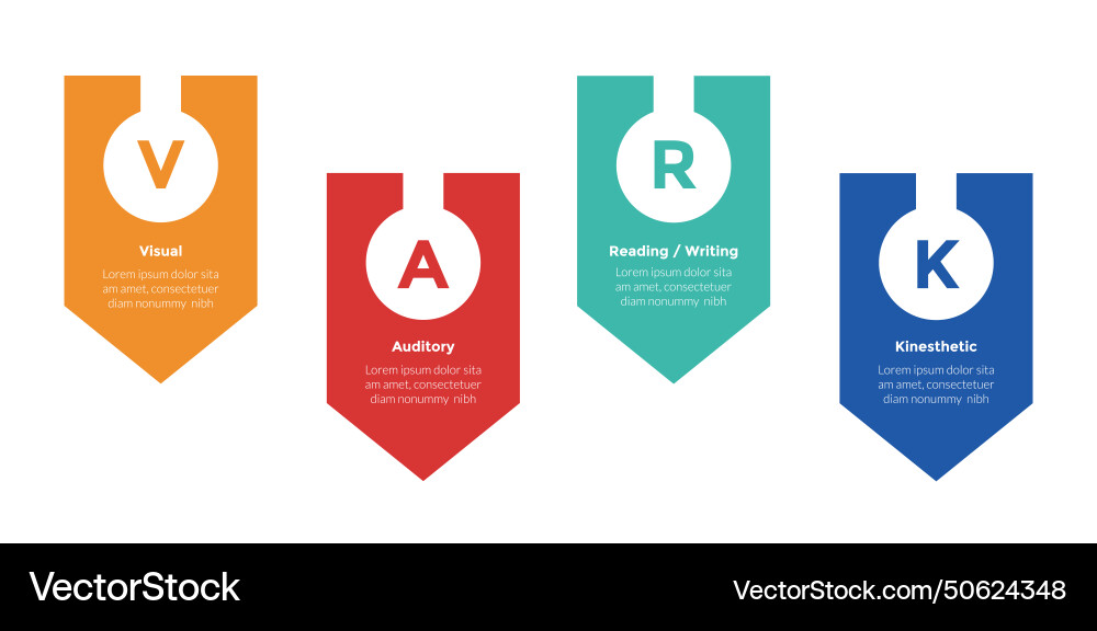 Vark learning styles infographics template Vector Image