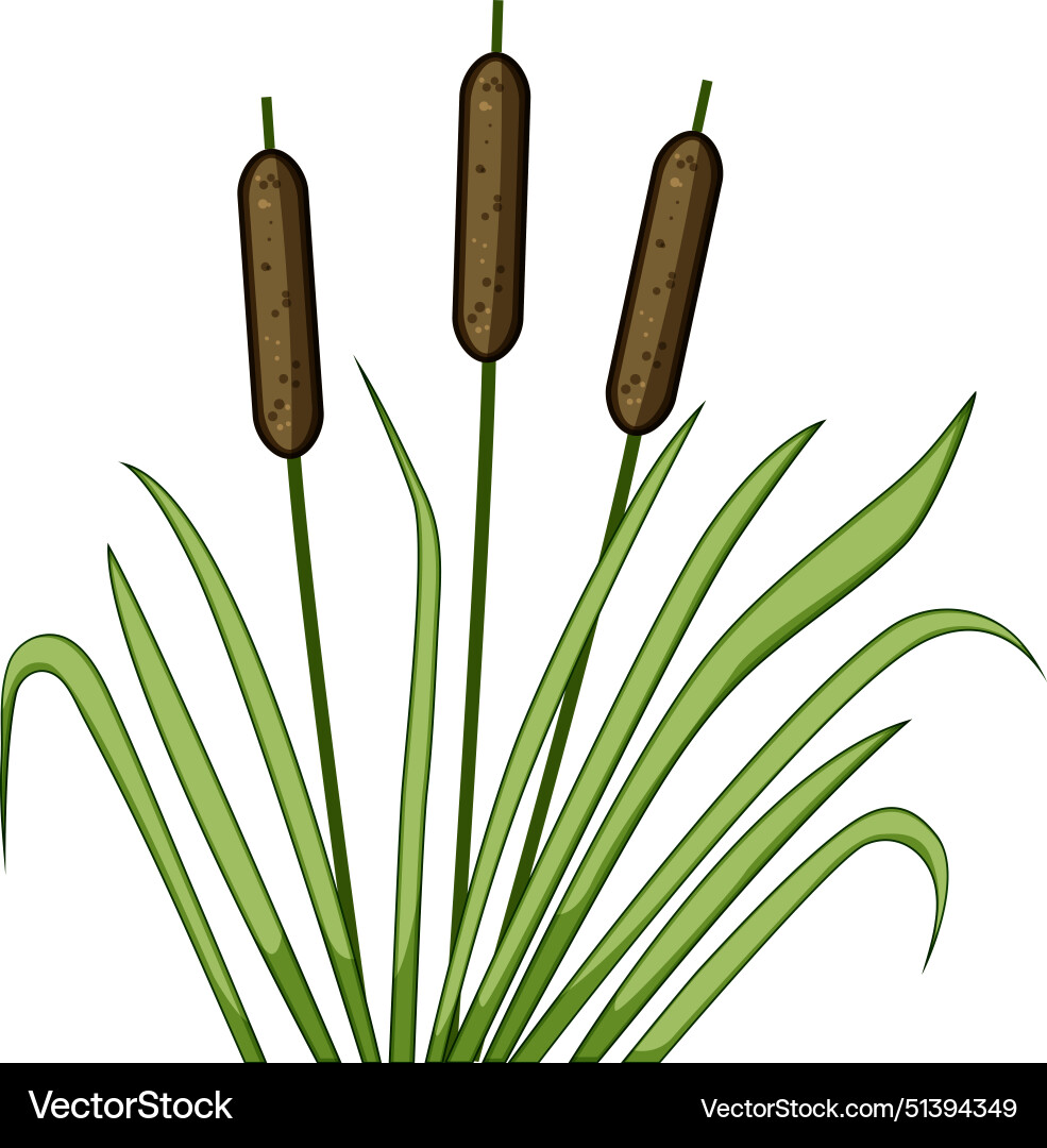 Forest lake plant cartoon Royalty Free Vector Image