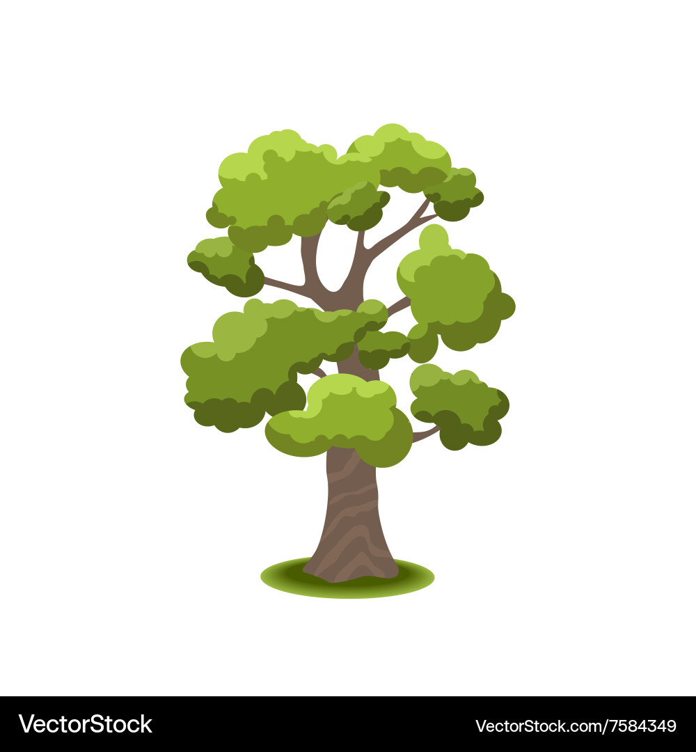 Stylized trees Royalty Free Vector Image - VectorStock