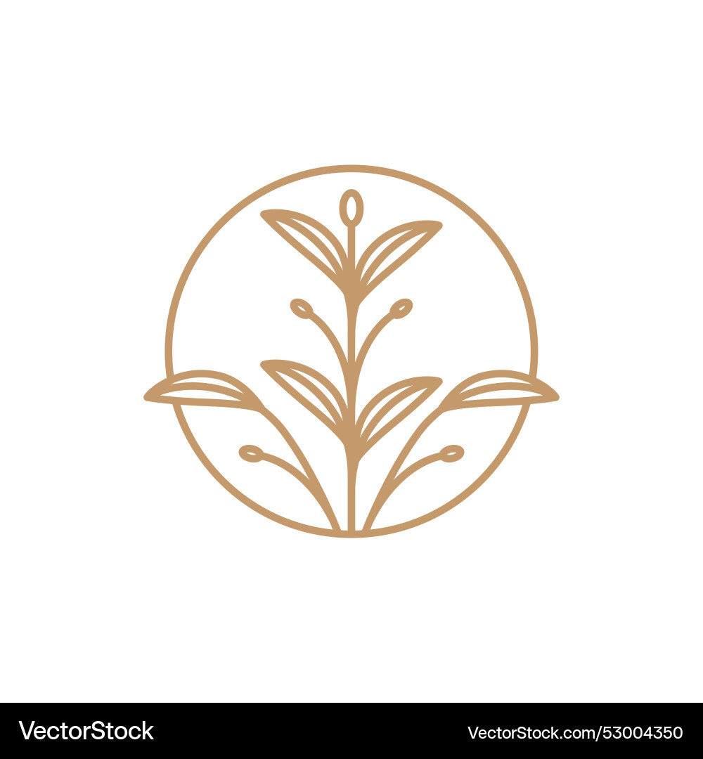 Circle plant botanical logo design simple Vector Image