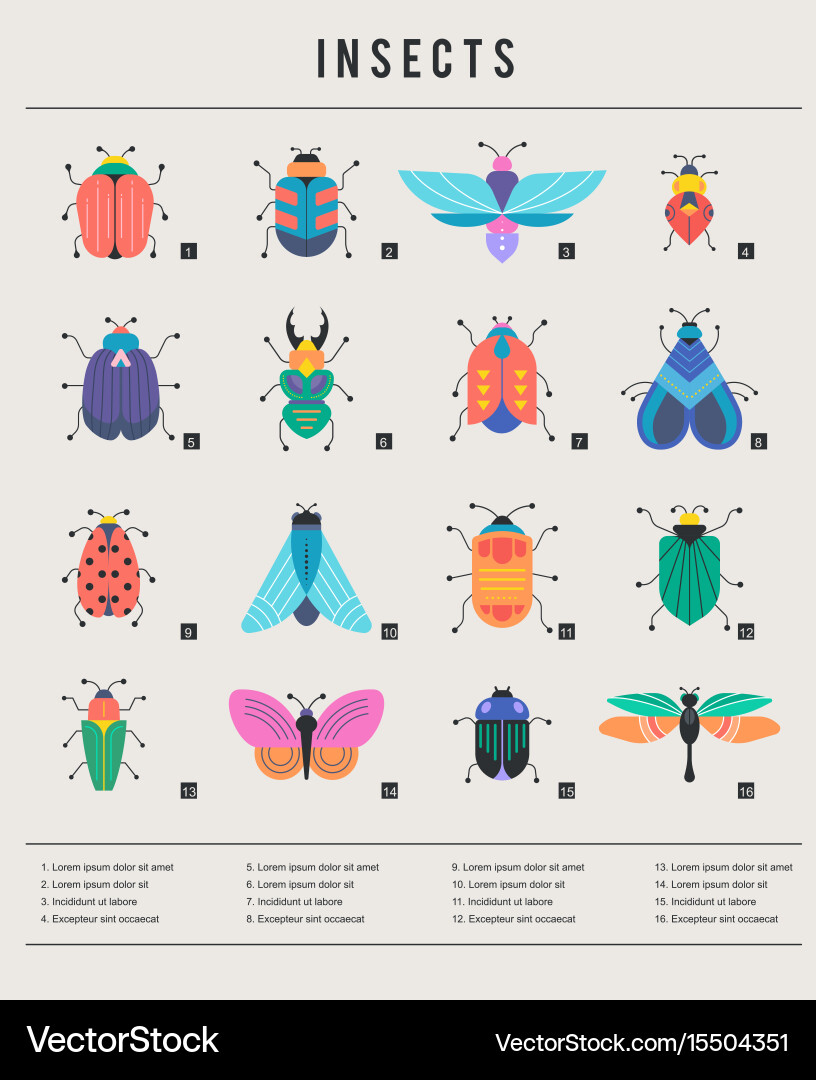 Bugs insects butterfly ladybug set Royalty Free Vector Image