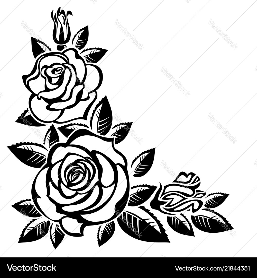 Corner of roses Royalty Free Vector Image - VectorStock