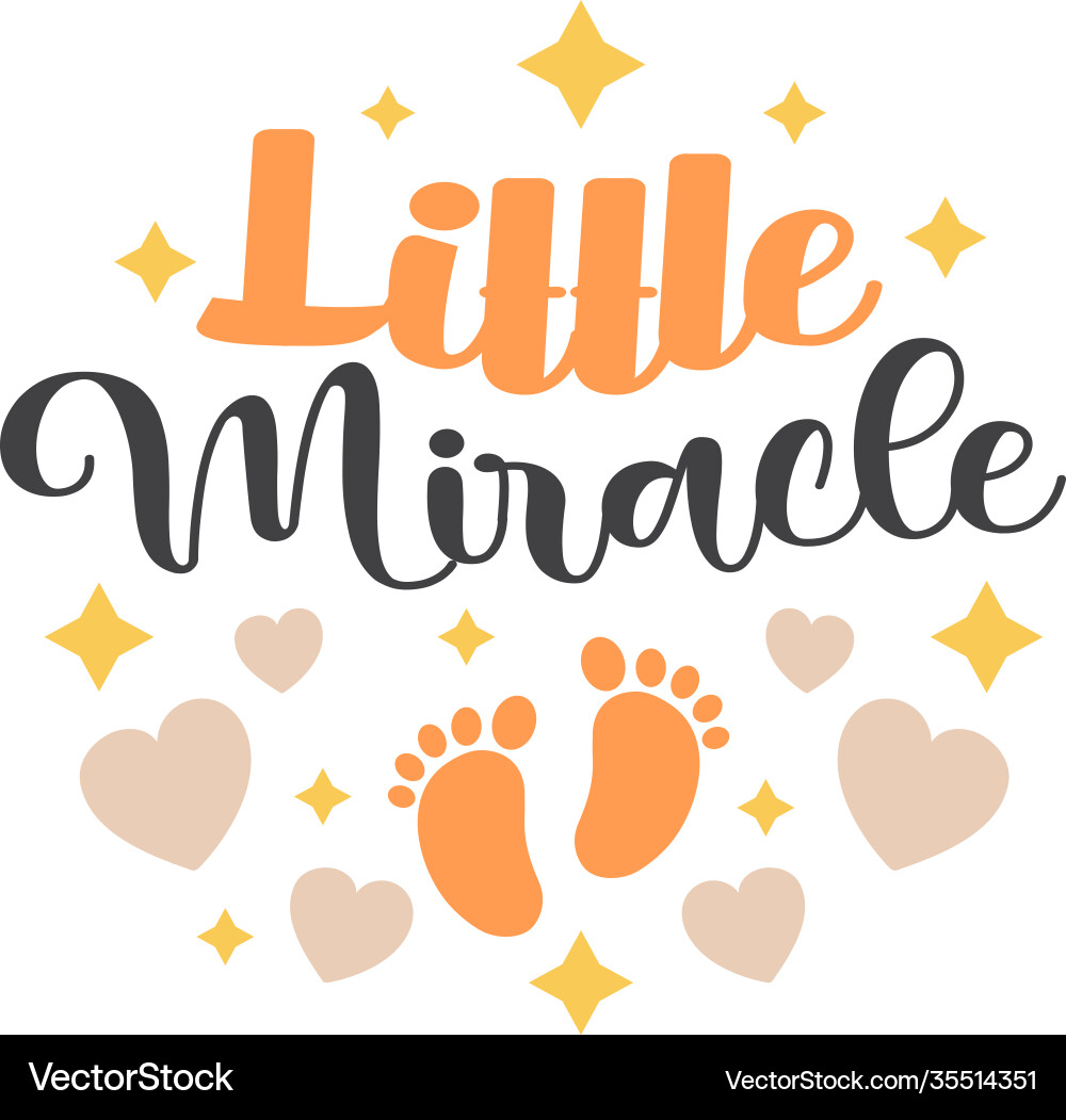Little miracle on white background Royalty Free Vector Image