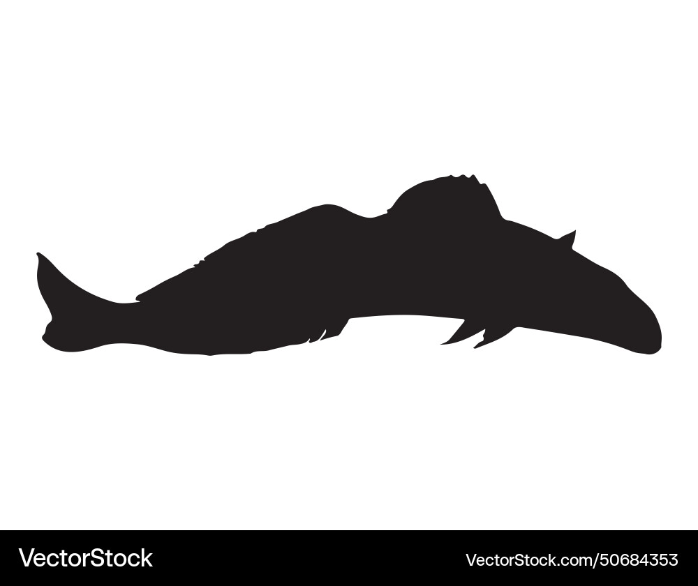 King george whiting fish silhouette art Royalty Free Vector