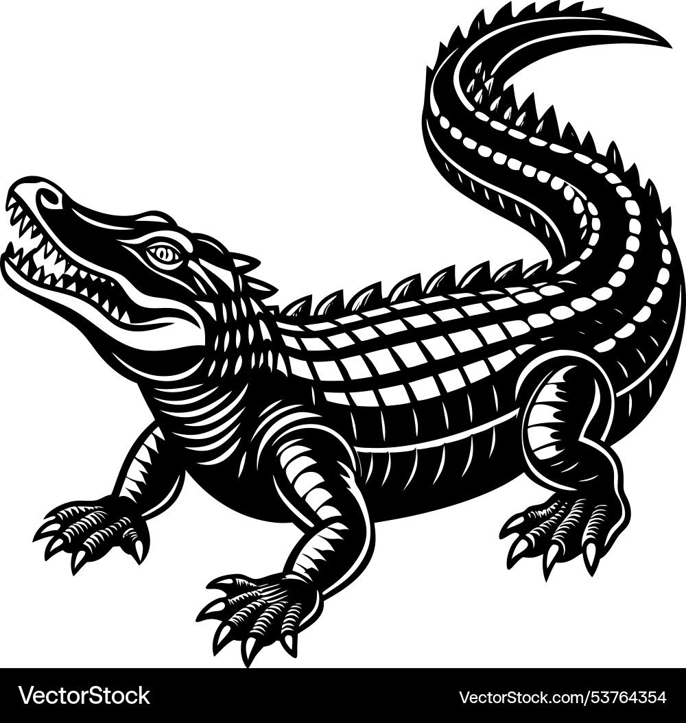 Alligator silhouette editable on white background Vector Image