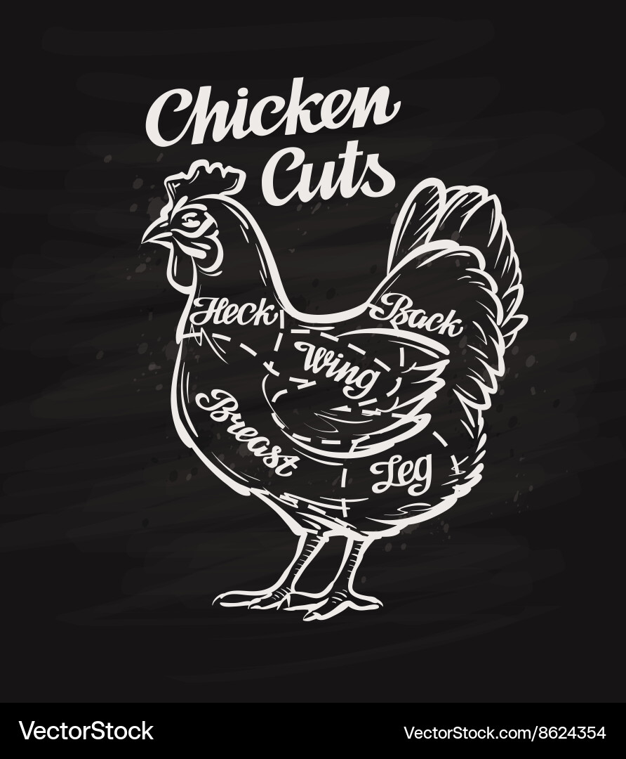 Chicken cuts template menu design for restaurant Vector Image