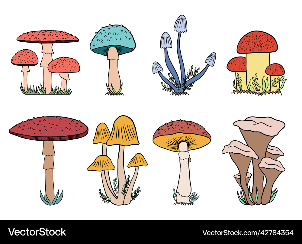 Detailed Mushroom Collection Royalty Free Vector Image