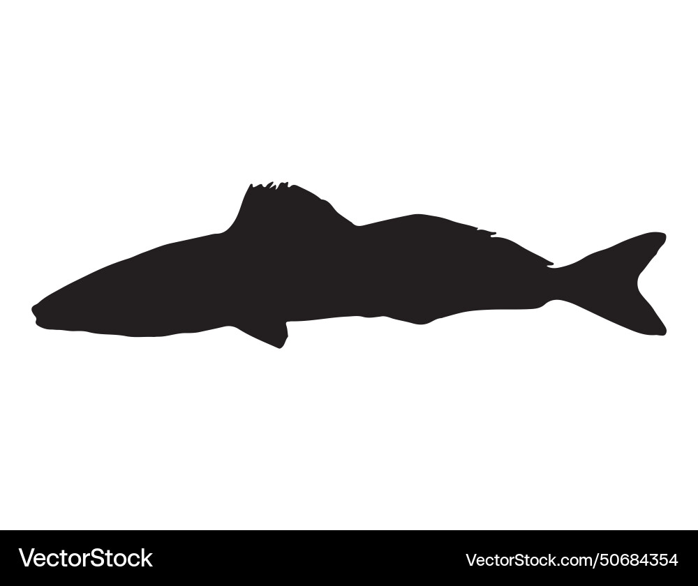 King george whiting fish silhouette art Royalty Free Vector