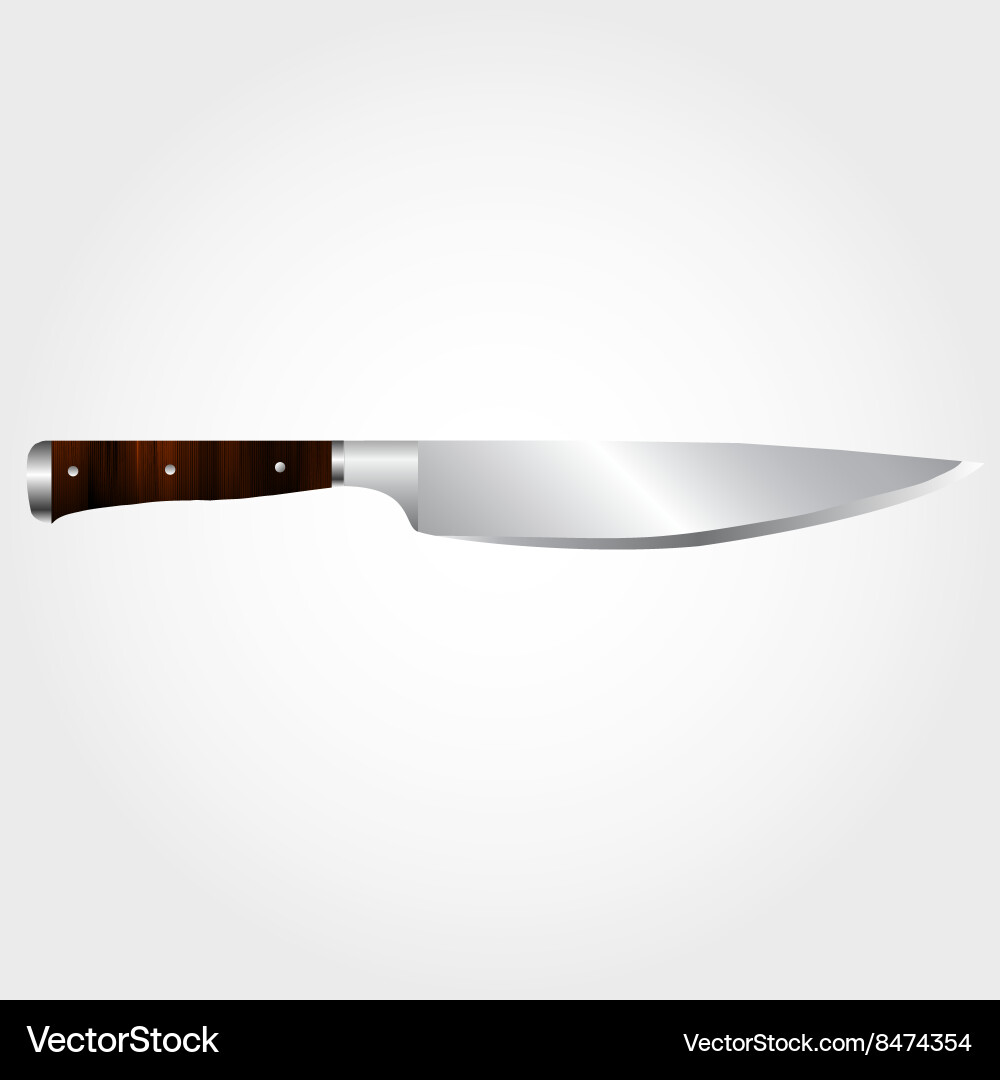 Modern Kitchen Knife Royalty Free Vector Image