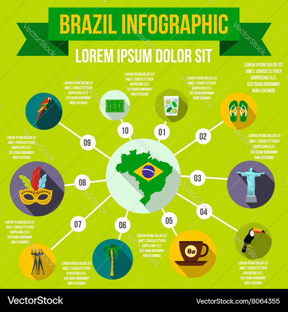 Brazil infographic elements flat style Royalty Free Vector