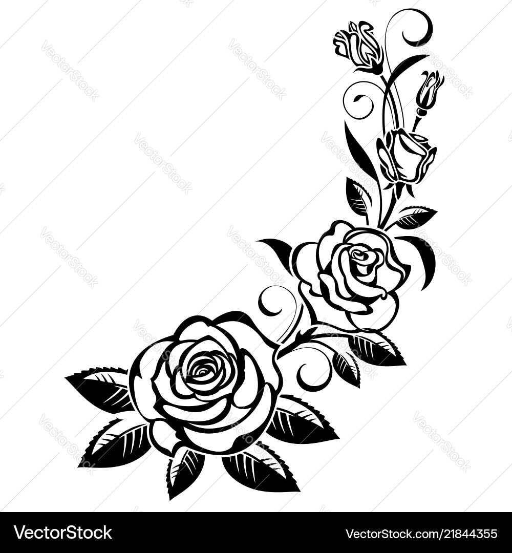 Elegant Rose Branch Royalty Free Vector Image - VectorStock