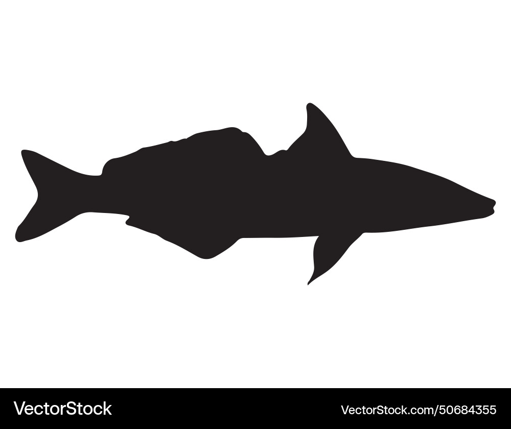King george whiting fish silhouette art Royalty Free Vector