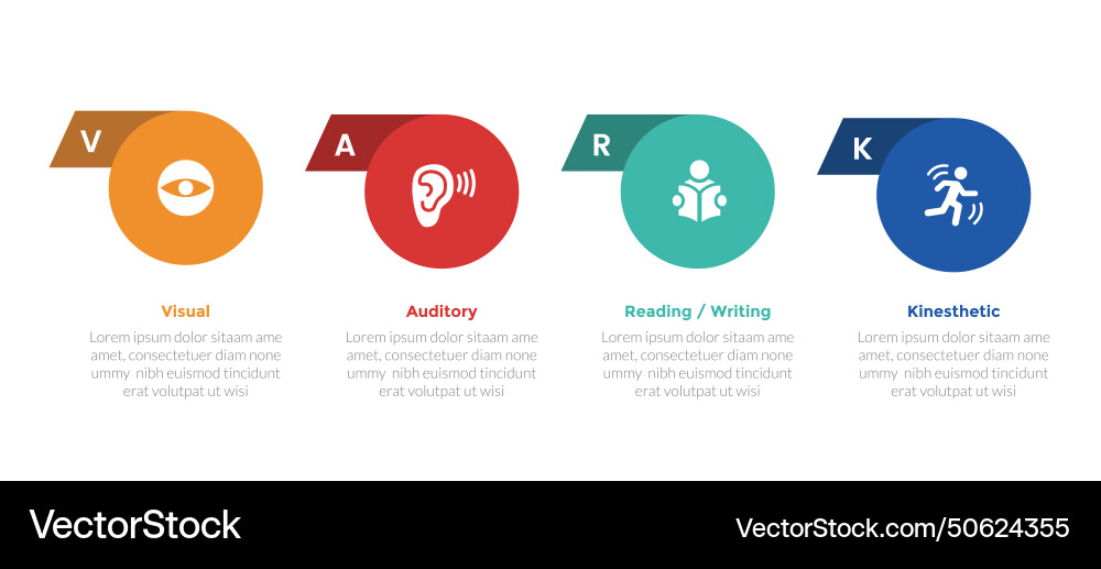 Vark learning styles infographics template Vector Image