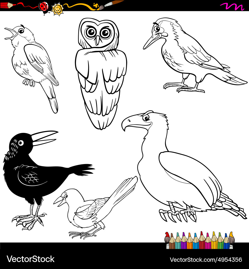 Birds cartoon coloring page Royalty Free Vector Image