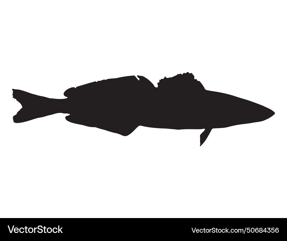 King george whiting fish silhouette art Royalty Free Vector
