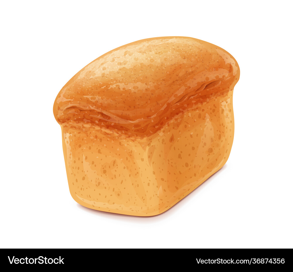Traditional classic bread Royalty Free Vector Image