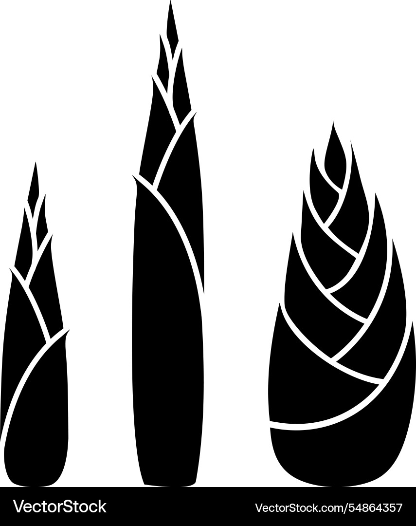 Bamboo Royalty Free Vector Image - VectorStock