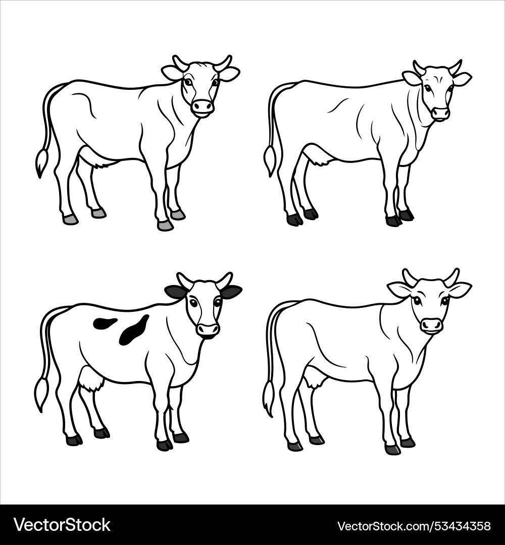 4 cow line art Royalty Free Vector Image - VectorStock