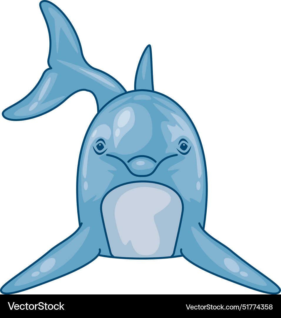 Dolphin animal front view Royalty Free Vector Image