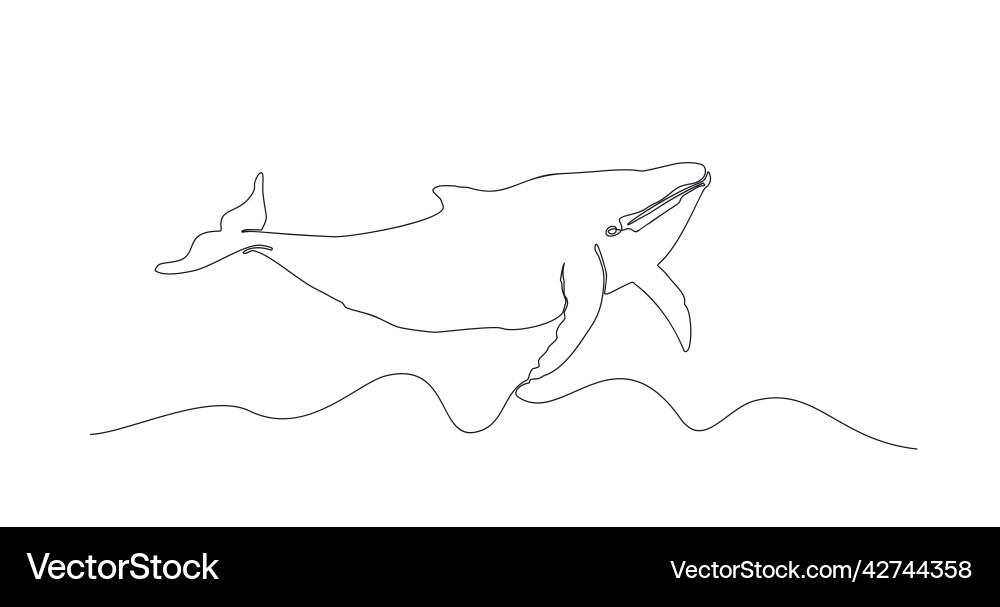 One single line drawing animation of whale Vector Image