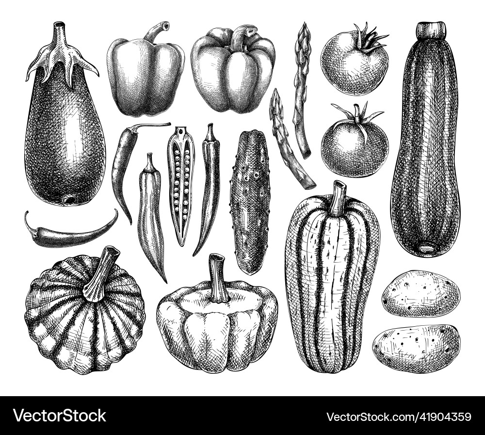 Hand-sketched vegetable collection set of hand Vector Image
