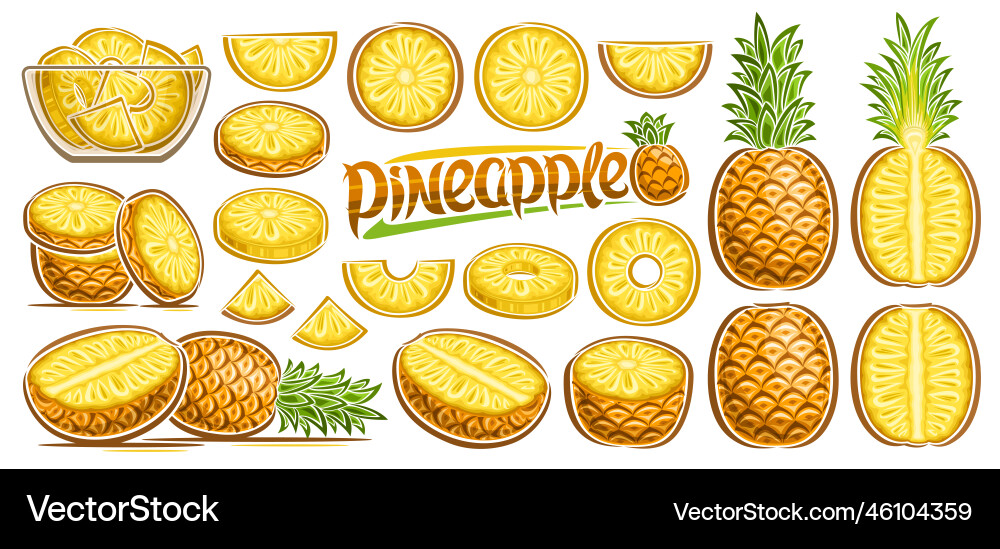 Pineapple set Royalty Free Vector Image - VectorStock
