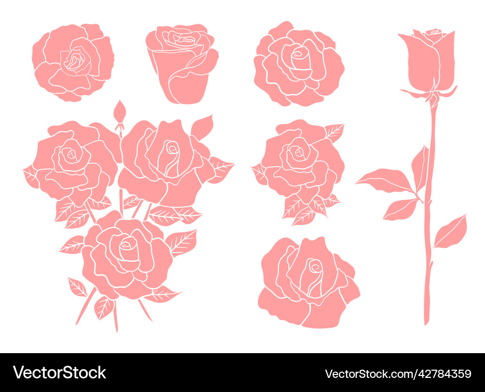 Roses design isolated on white background Vector Image